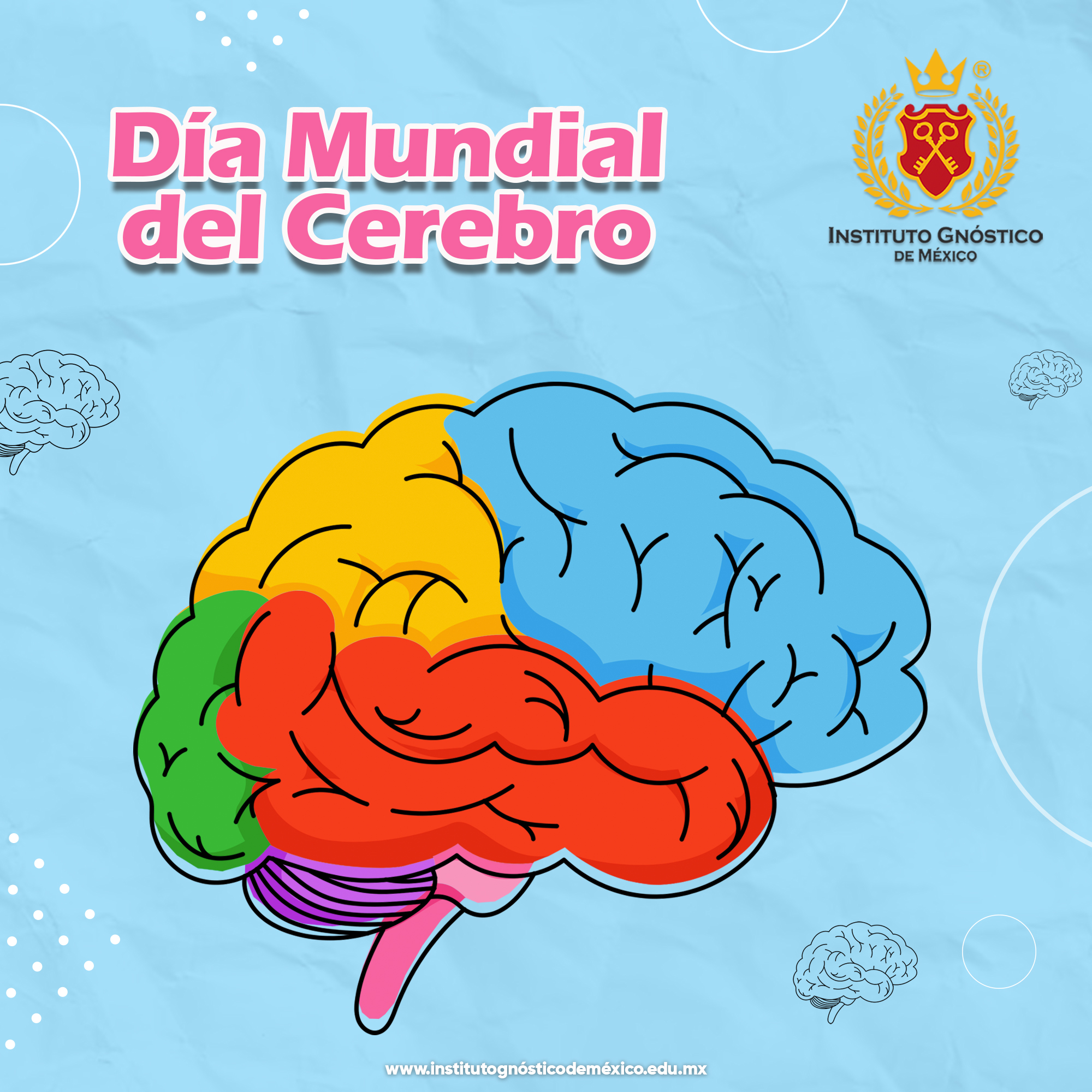 IGM - El 22 de julio celebramos el Día Mundial del Cerebro 🧠🗣 Nuestro ...