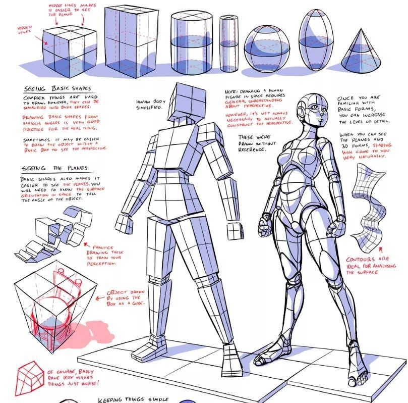 Billy Edwards - Mastering Human Anatomy Through Basic... | Facebook