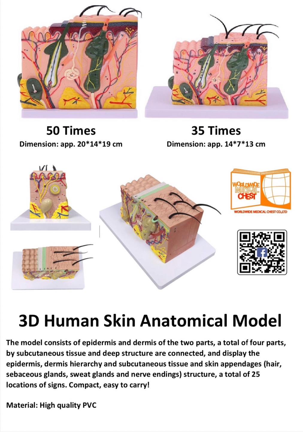 3D Human Skin... - Worldwide Medical Chest, WMC Bookstore | Facebook