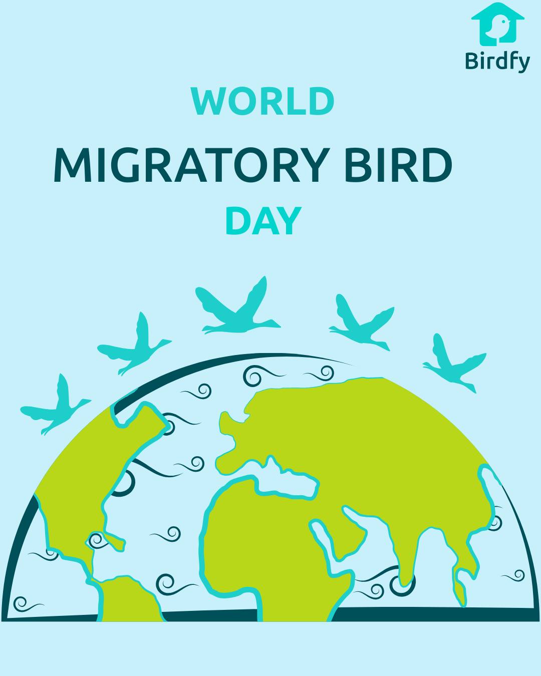 🌿🏙️ Celebrate World Migratory Bird Day... - Birdfy by Netvue | Facebook