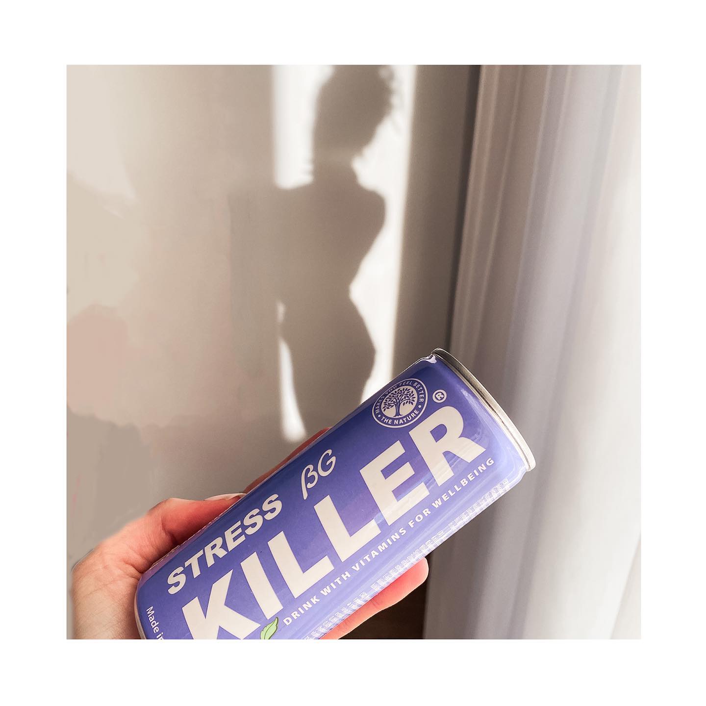 Spacelab Drinks The Pillars Of Our Immunity Healthy
