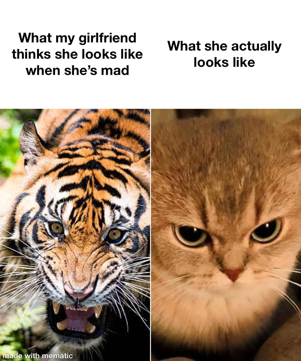 B Memes Inspirational Facebook