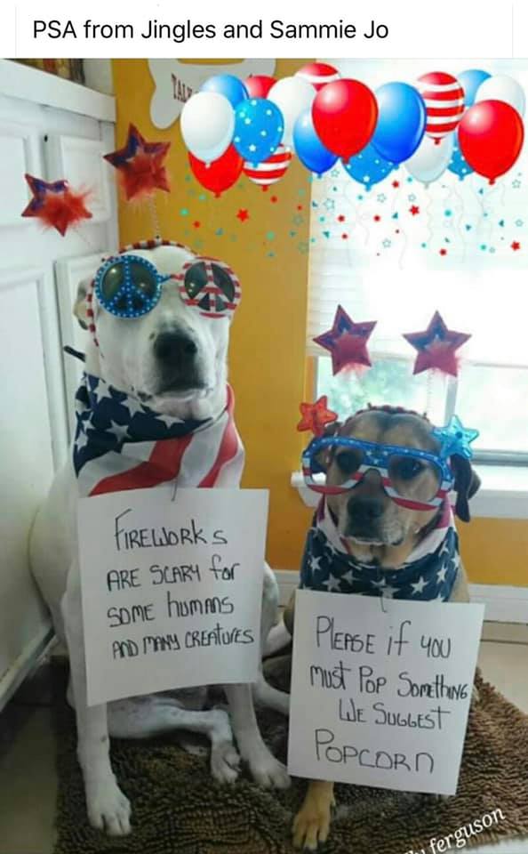 Promise 4 Paws Home Facebook