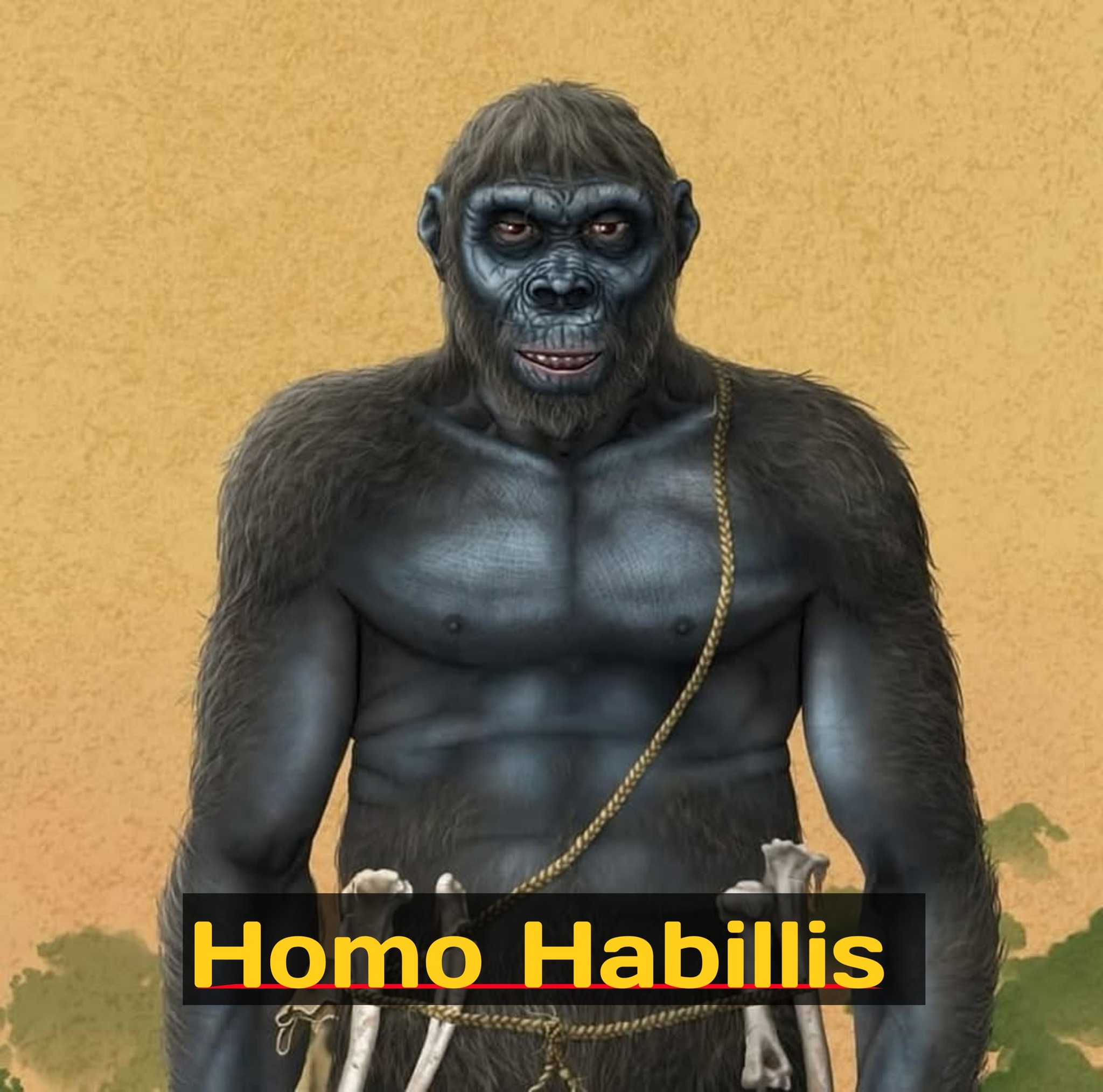 Mr - The first human ancestor that evolved in East Africa 2.4 million ...