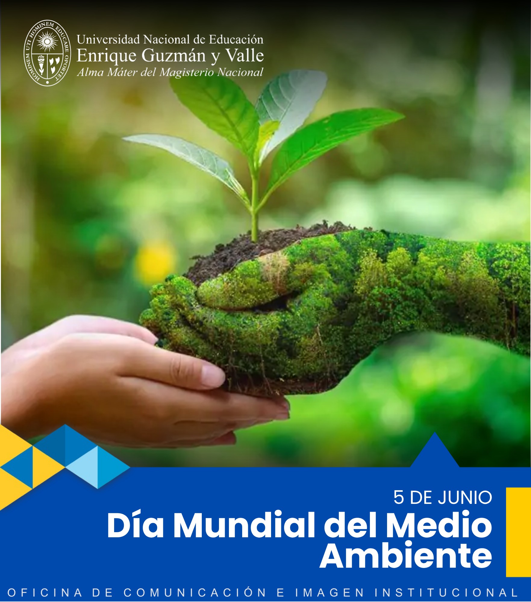 Universidad - Hoy, 5 de junio, conmemoramos el Día del Medio Ambiente ...