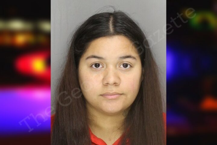 Cobb County Crime 7541