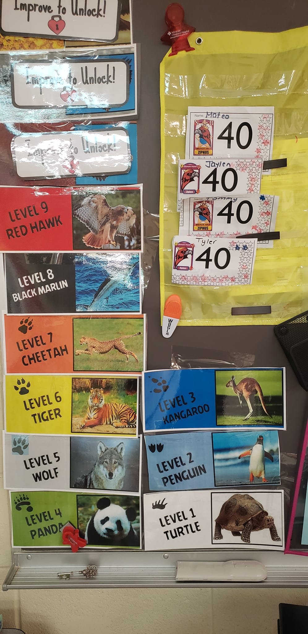Whole Brain Teaching Special Education