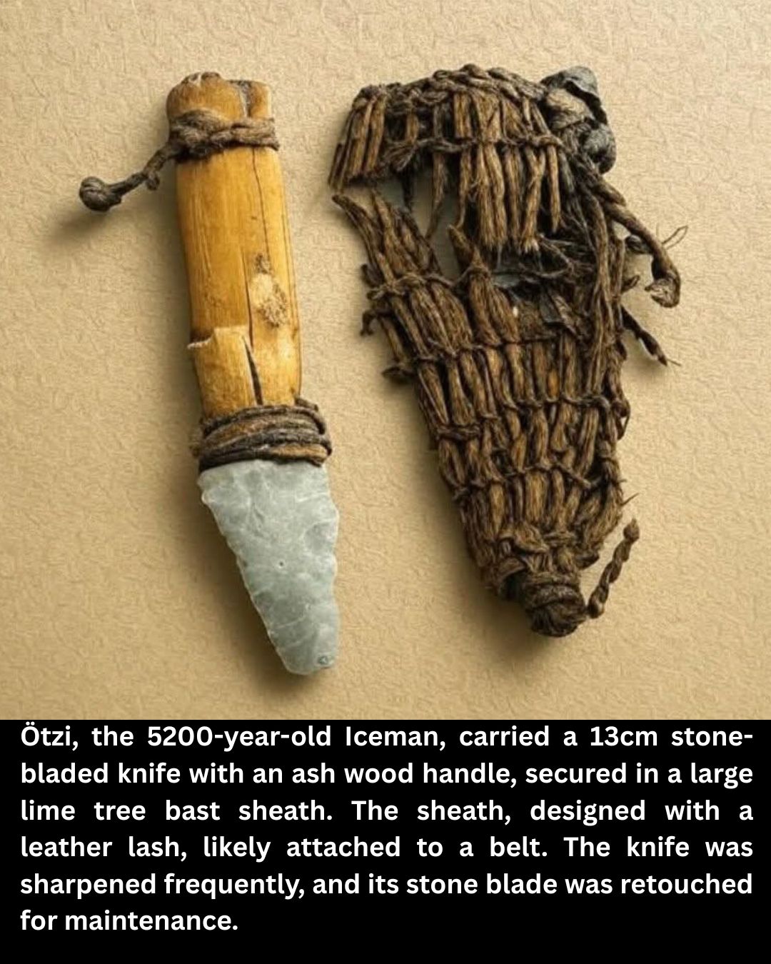 LB - Ötzi, the 5,200-year-old Iceman, carried a remarkable survival ...