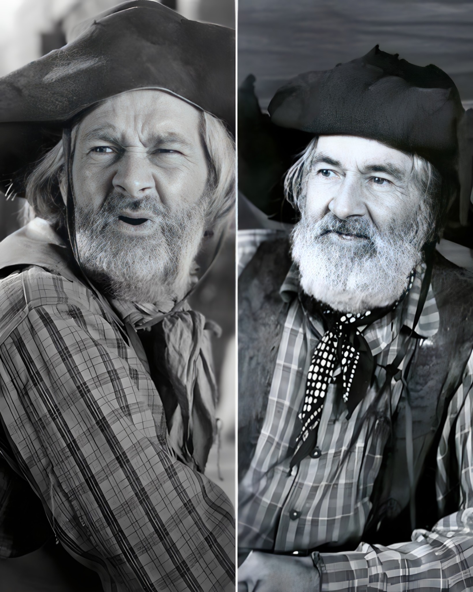 Hollywood Gabby Hayes Born George Francis Hayes Was A Beloved