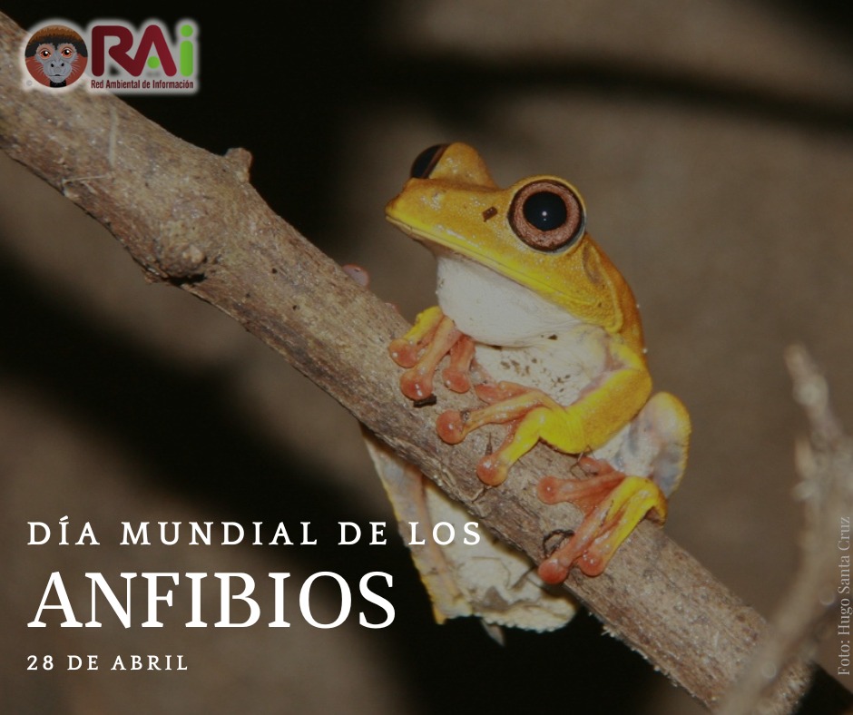 Hoy celebramos el Día... - Red Ambiental de Información - RAI