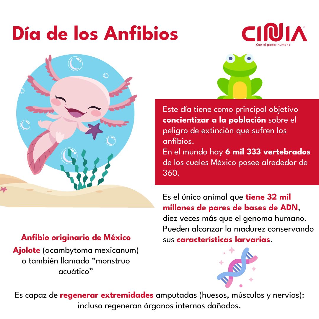 Cinia de México - El Día Internacional para la... | Facebook
