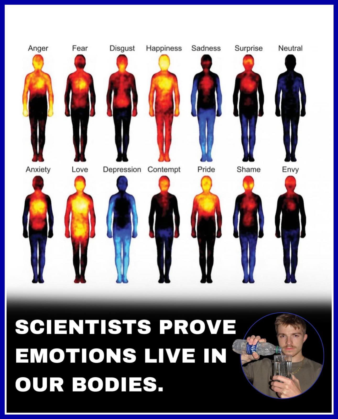 Icycol - This image visually represents how people commonly feel ...