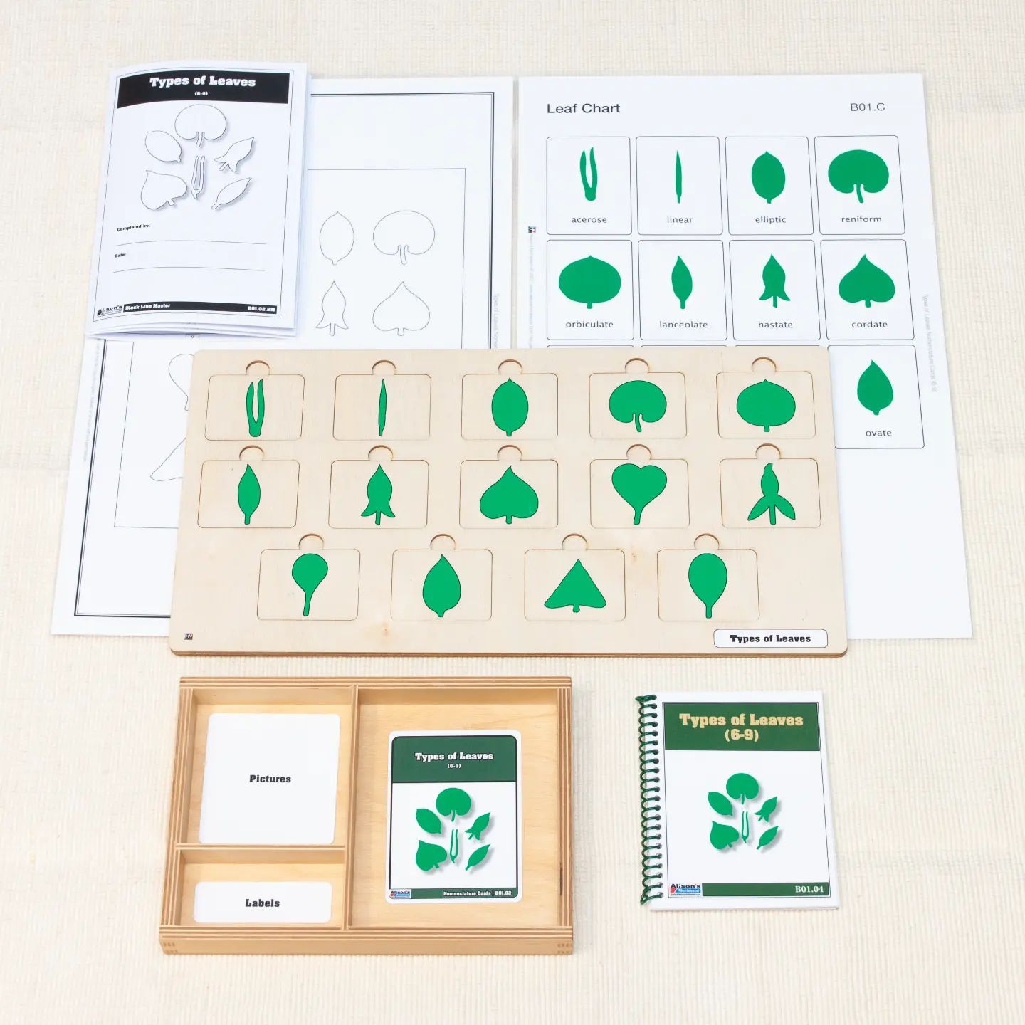 The Types of Leaves Puzzle with... - Alison's Montessori | Facebook