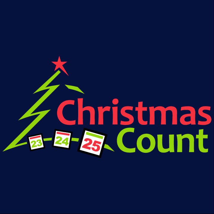The new Christmas tradition loved by 35,000+ families!! 💖🎄 Get your 100 ...