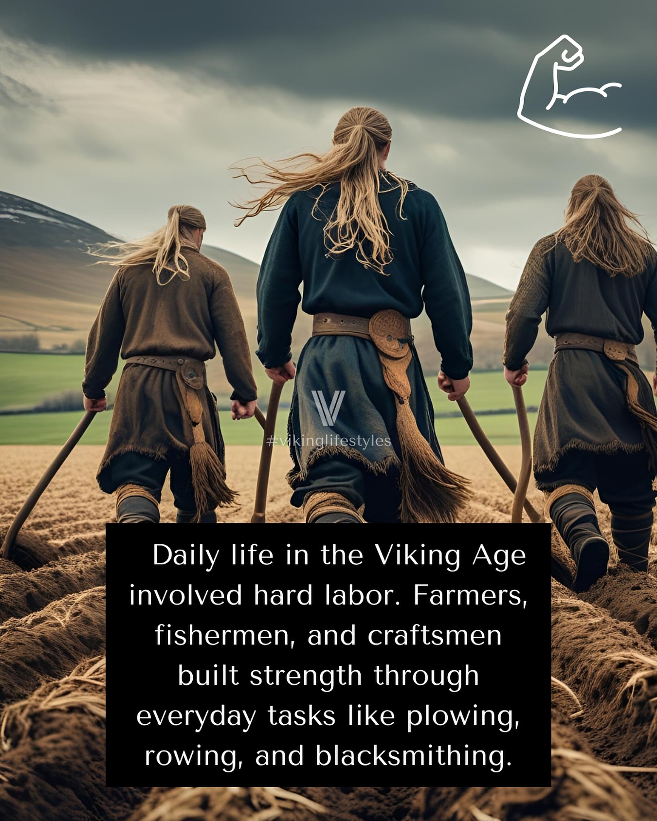 Viking - Did you know that? 🪓🛡️ Shop 👉 vikinglifestyles.com #viking # ...