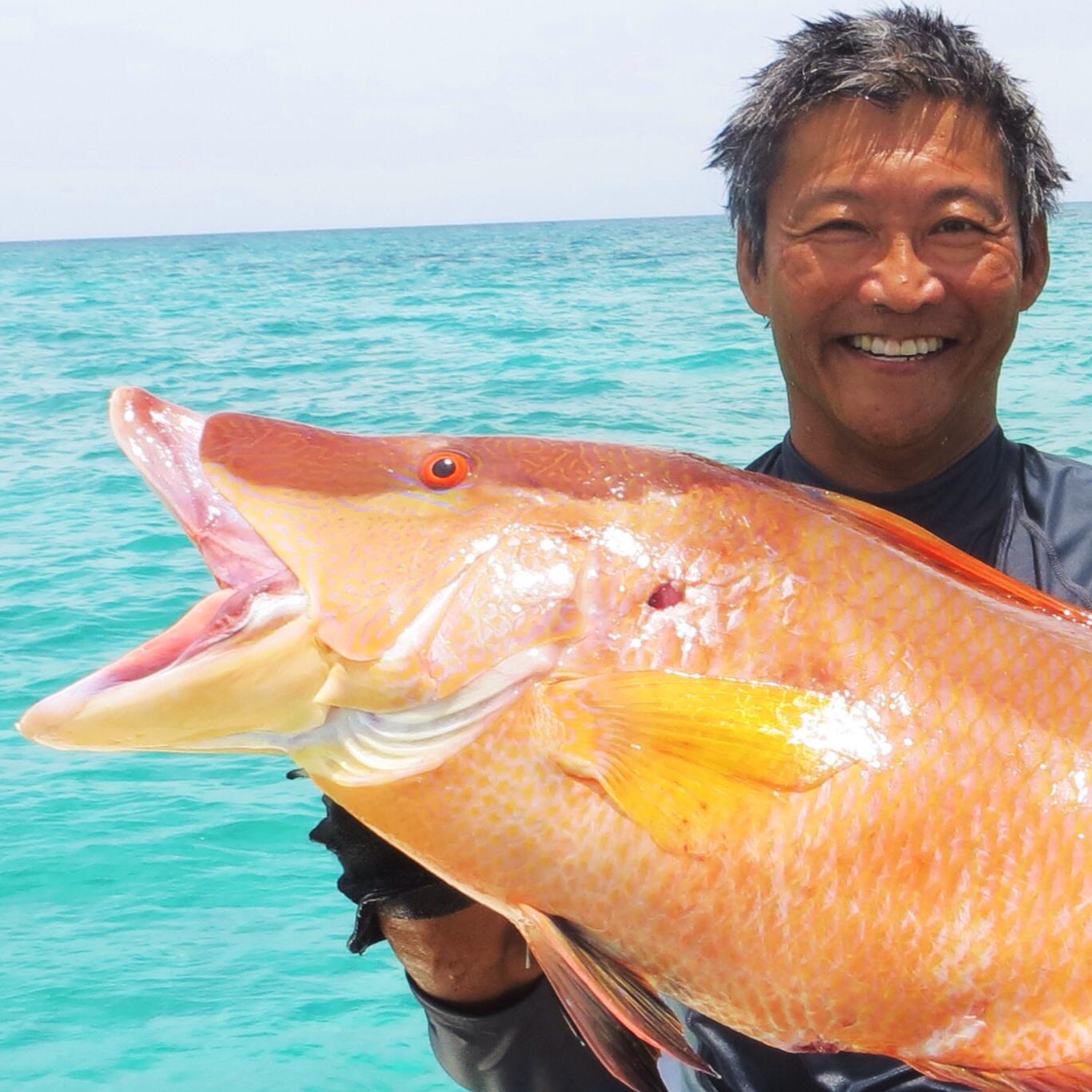 Bahamas, Land and Sea | Our weekly summary | Facebook