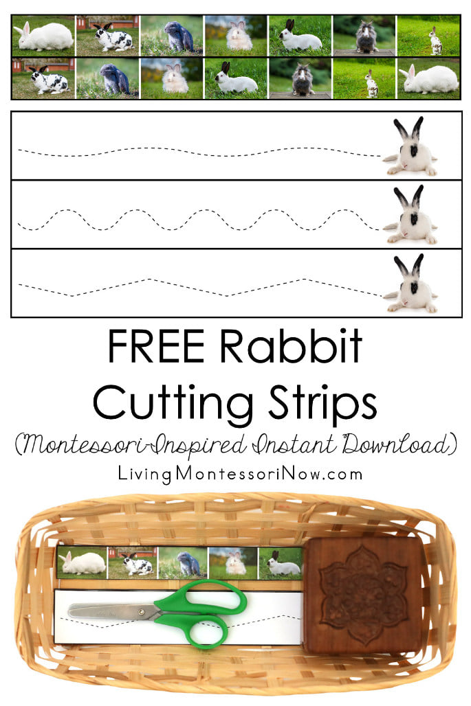 I have a new free printable for... - Living Montessori Now | Facebook