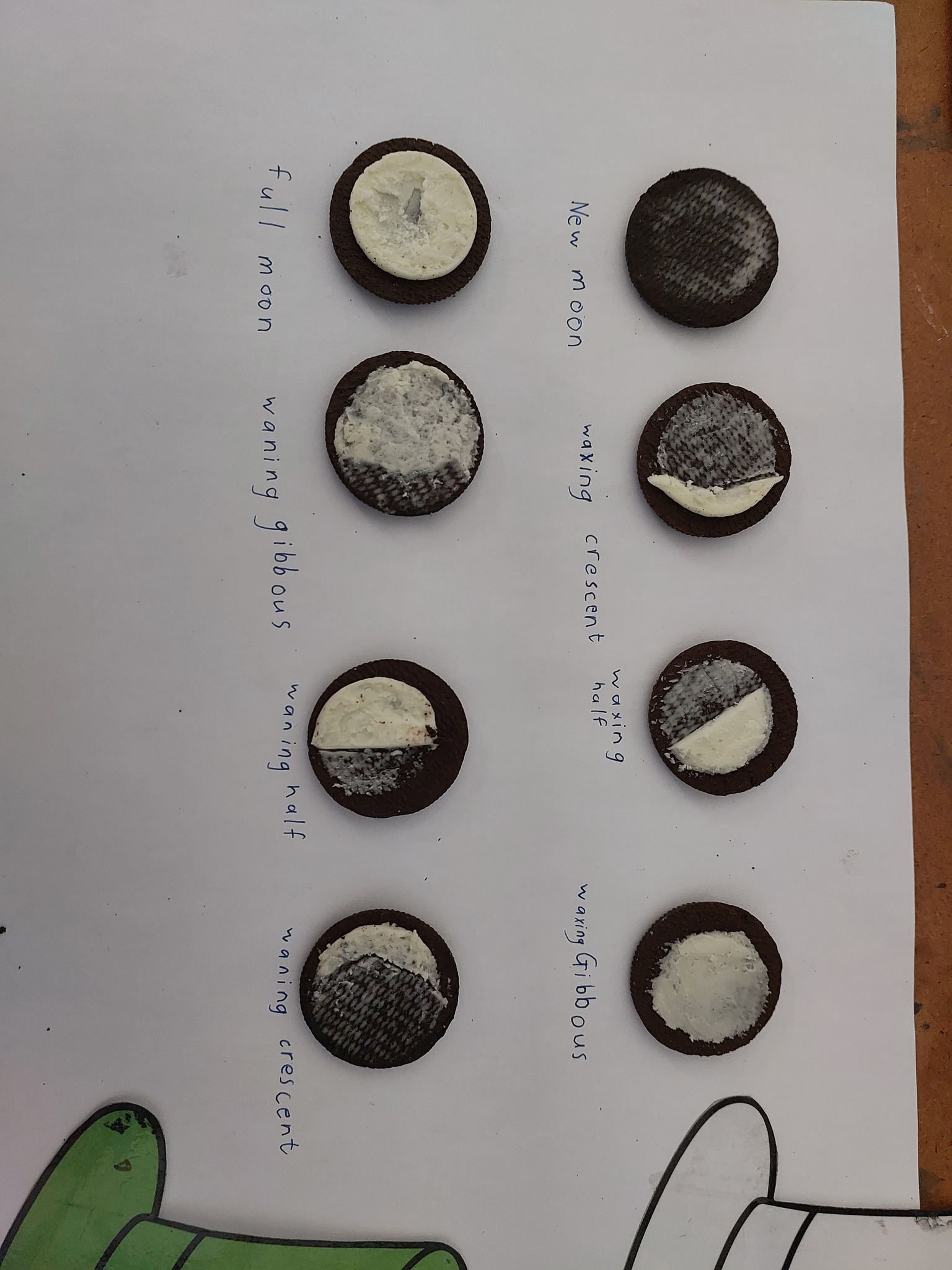 🌗🌘🌑 Phases of the Moon - Oreo Activity... - Curro Krugersdorp