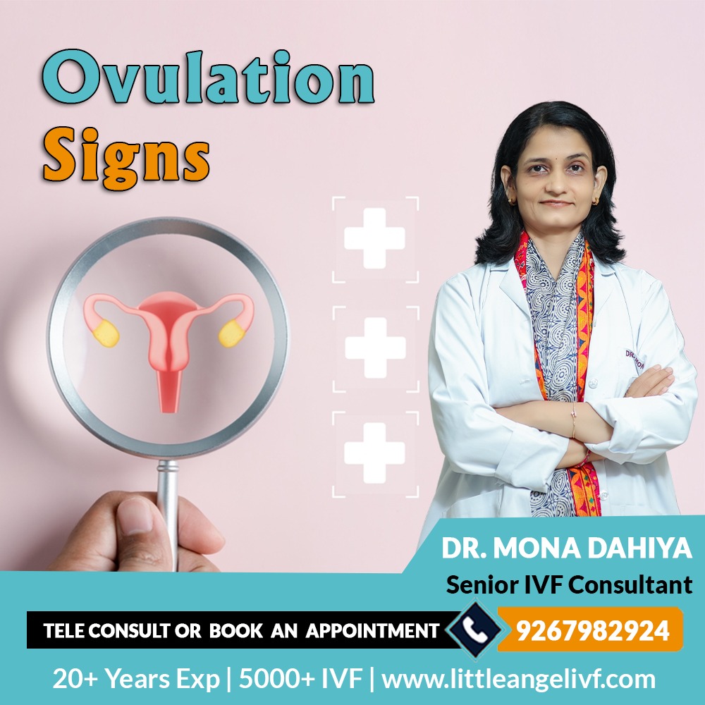 Ovulation Signs Include Increased Cervical Mucus Heightened Senses