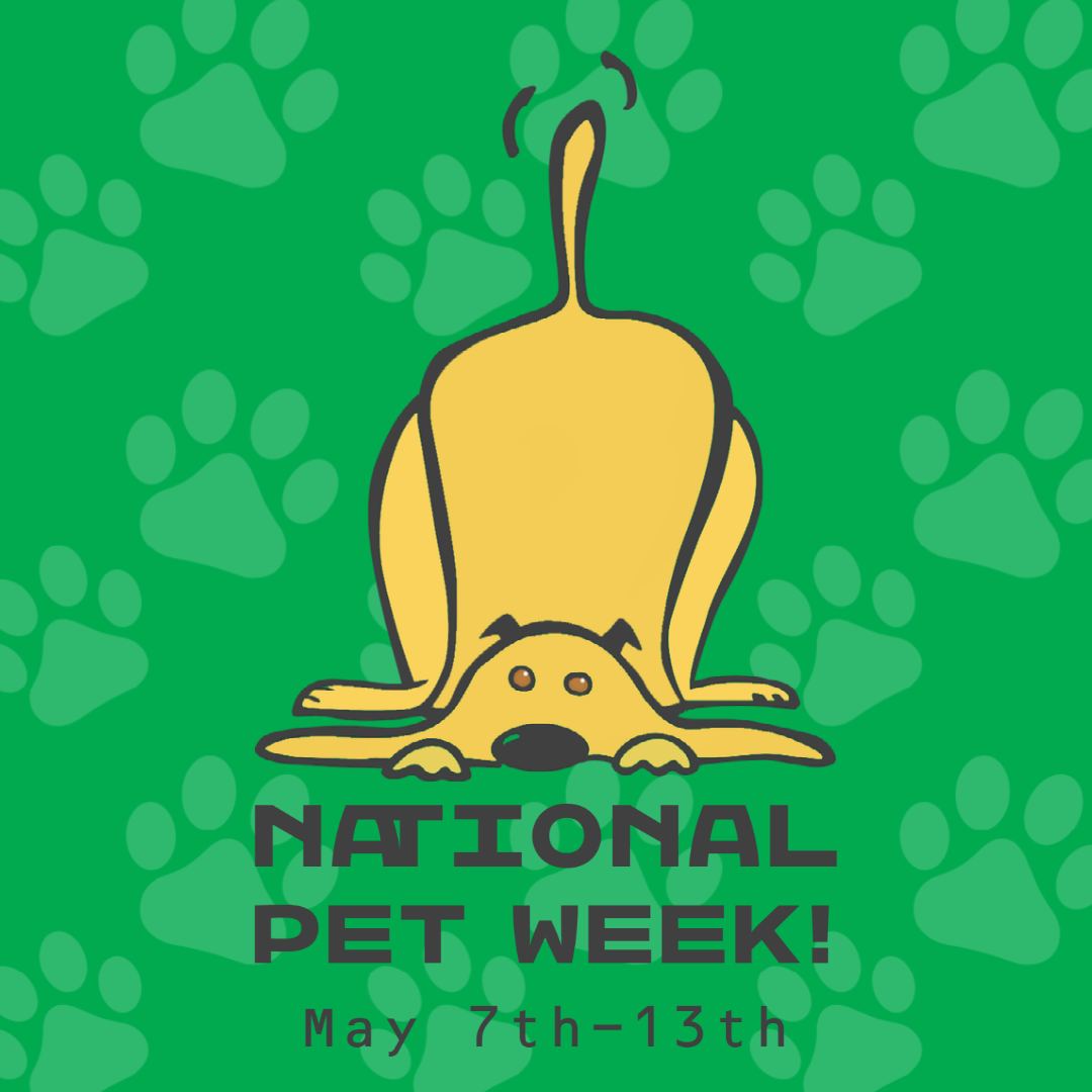 Harvest Bank MN - National Pet Week starts today! To... | Facebook