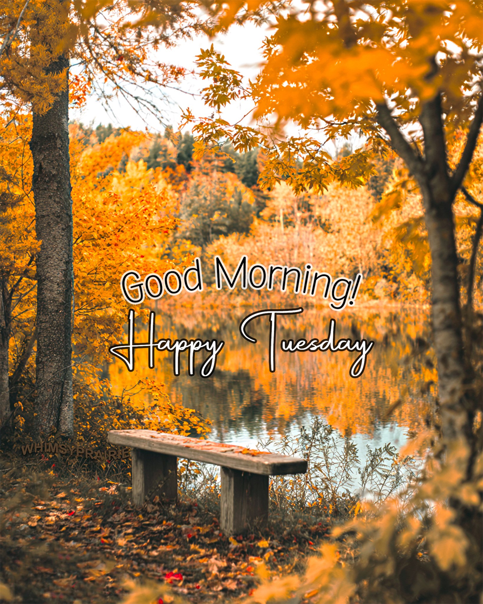 Whimsy - Good morning! 🌞Wishing everyone a calm and easy Tuesday. 🍁🍂🧡 # ...