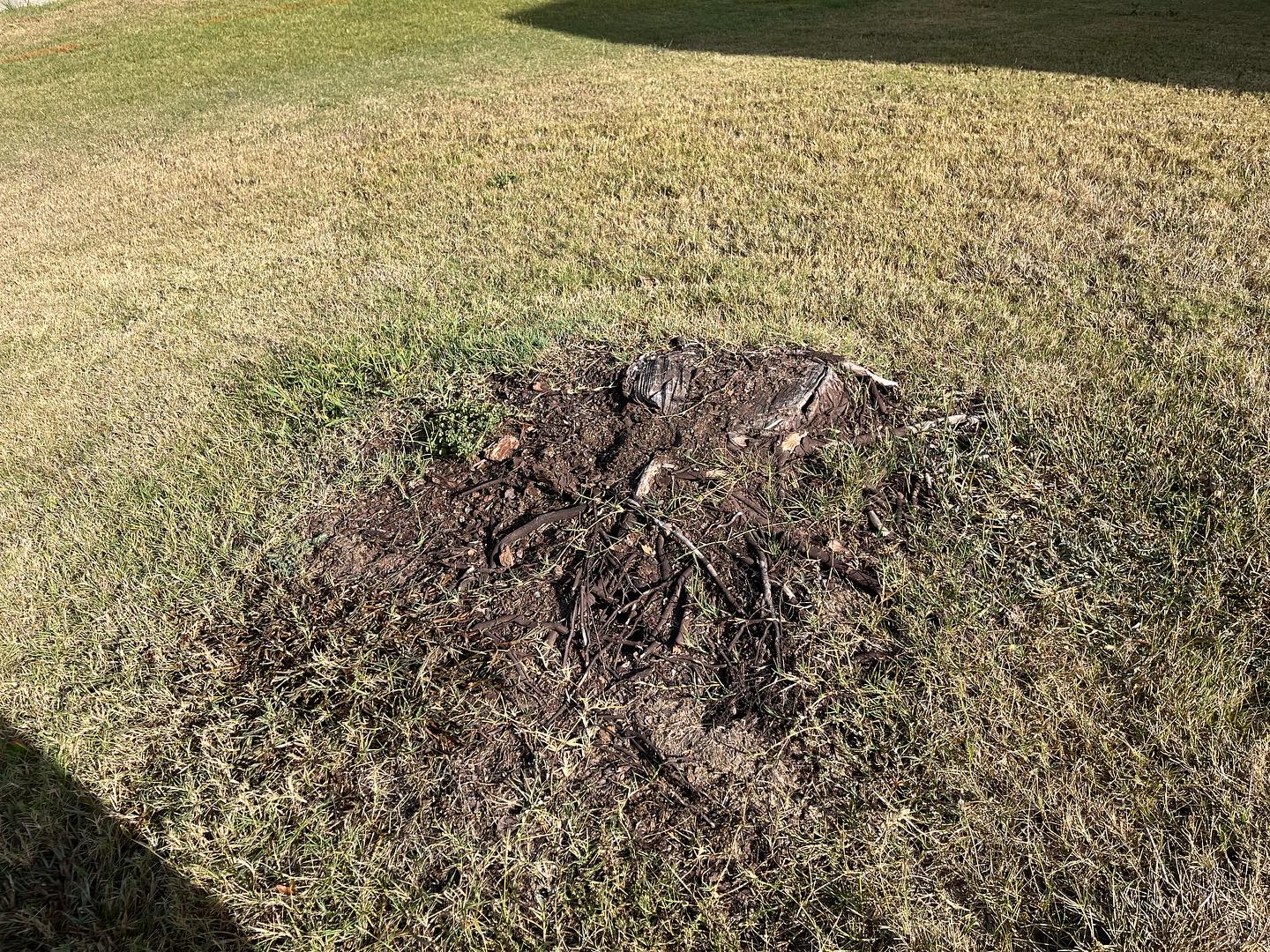 Solid Ground Solutions Llc 2930