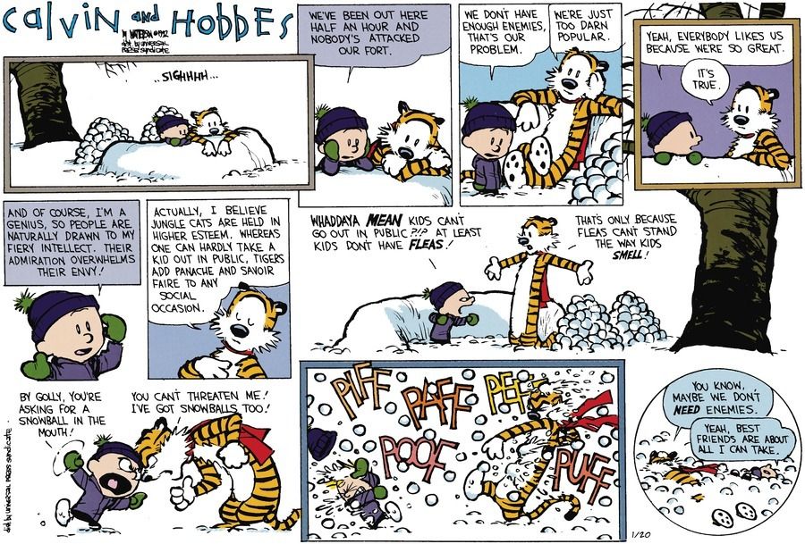 Fᴜɴɴʏ - Everything Calvin & Hobbes 🤭🤣😂 #comicstrips #schoollife # ...
