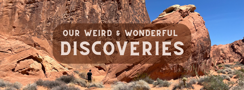 Our Weird And Wonderful Discoveries