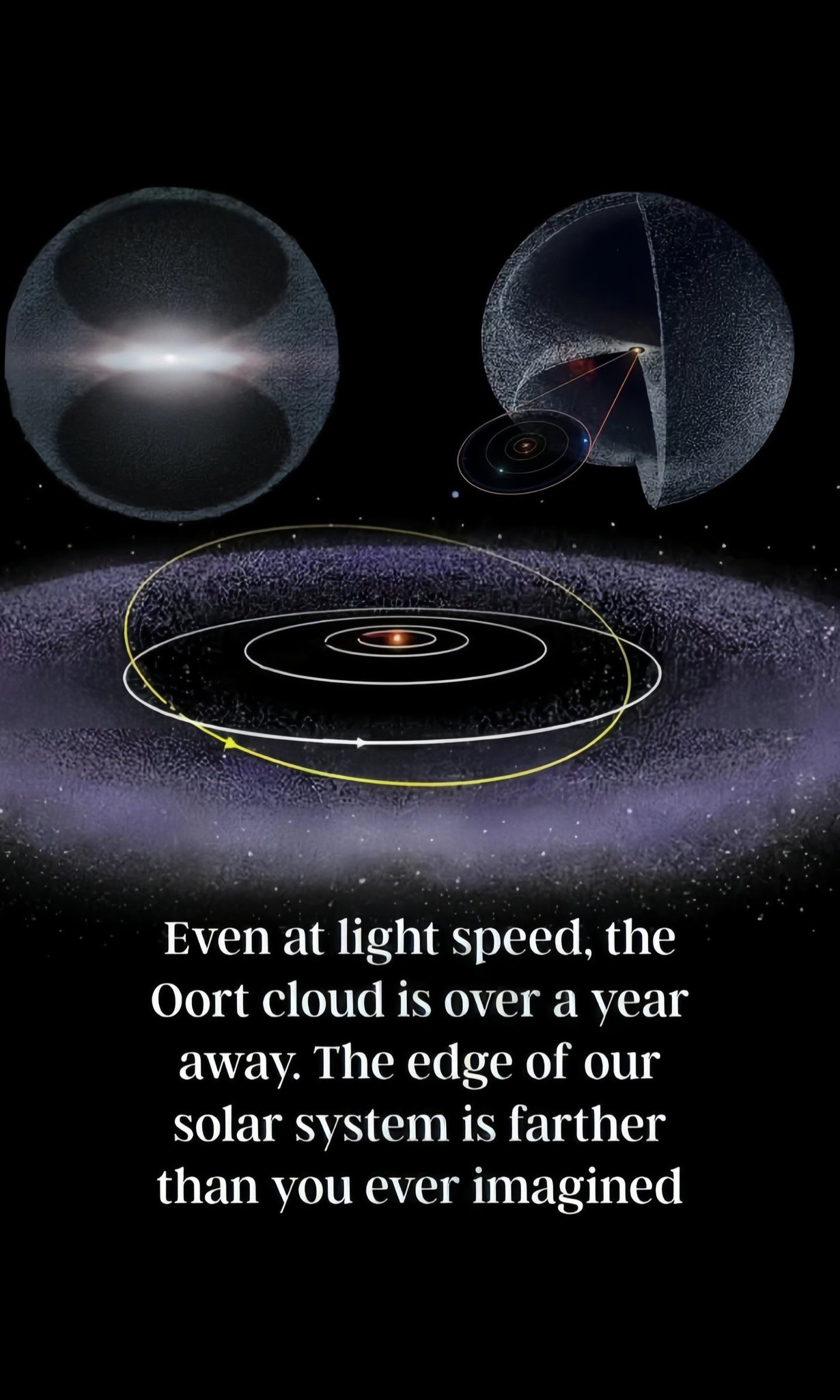 NASA - Universe | The Oort Cloud, a distant, spherical shell of icy ...