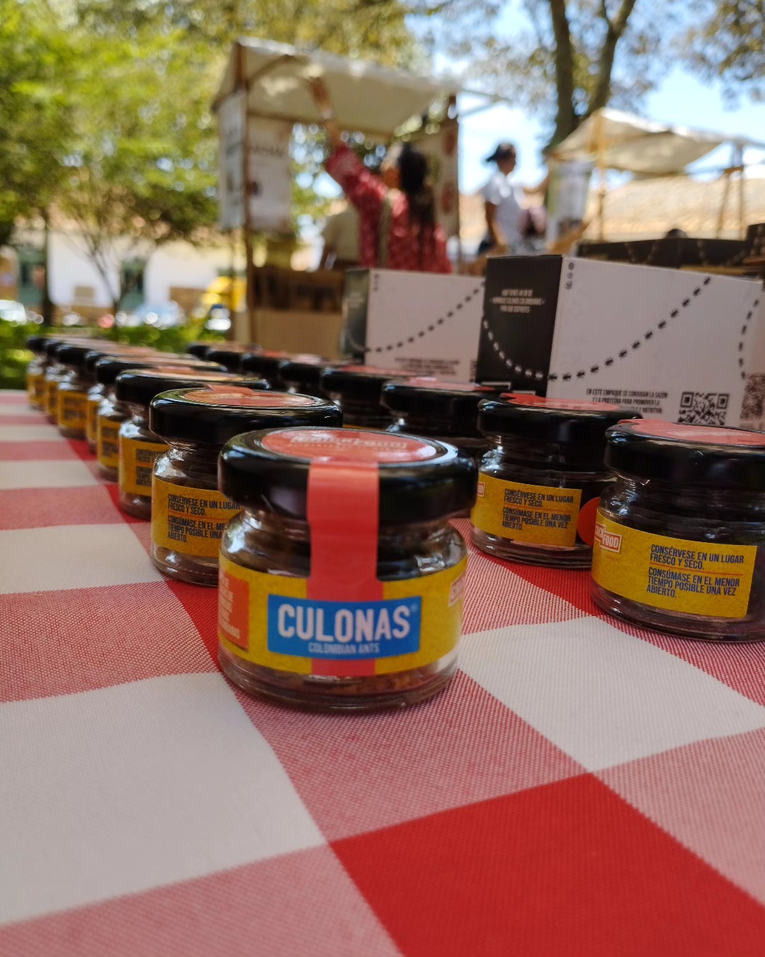 CRICK FOOD / Hormigas culonas santandereanas | Bucaramanga