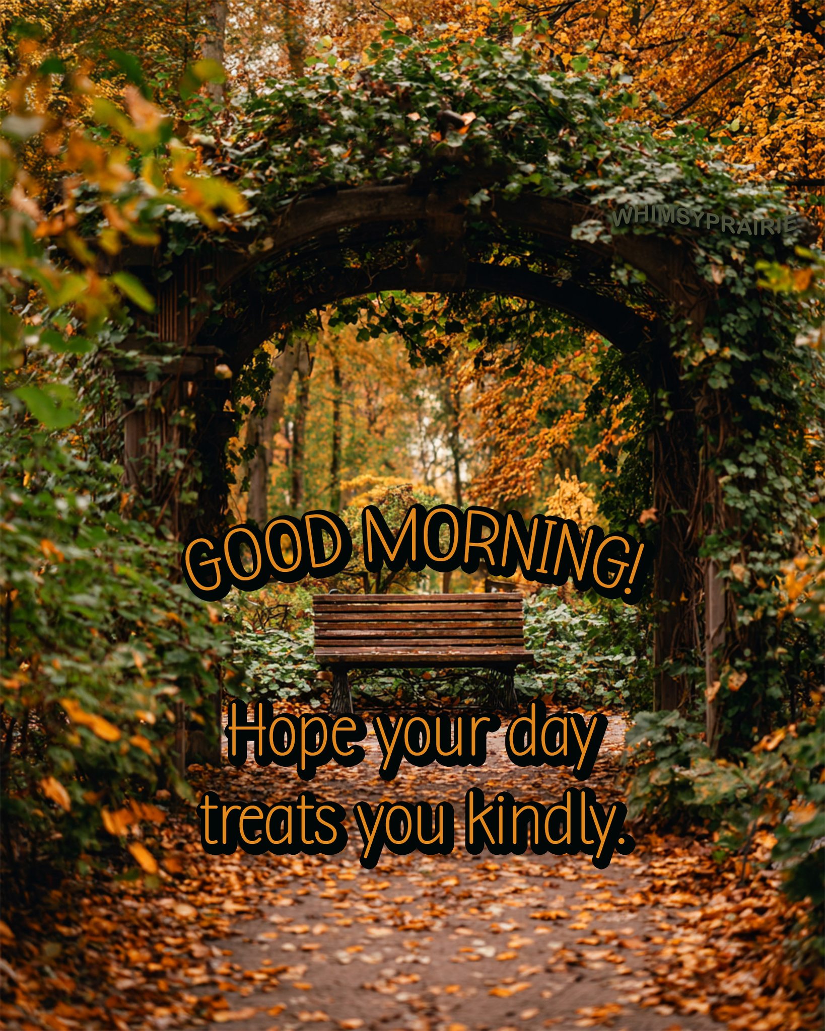 Whimsy - Good morning! 🌞🌾🍂🫶 | Facebook