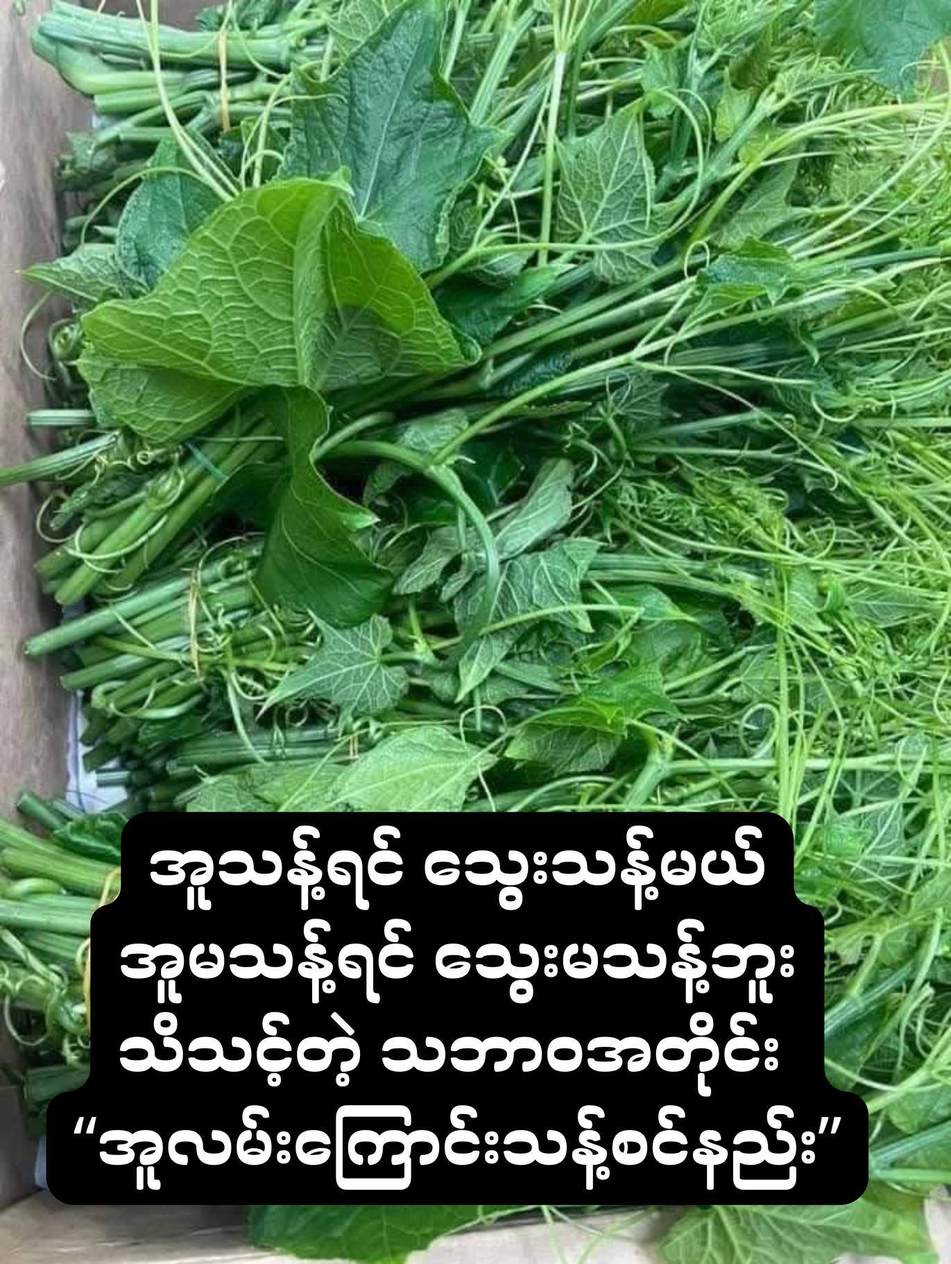 𝐀𝐋𝐈𝐍 အူလမ်းကြောင်းရှင်းလင်းခြင်းဗိုက်ပူပြီး ဗိုက်ချပ်ချင်သူတွေအတ