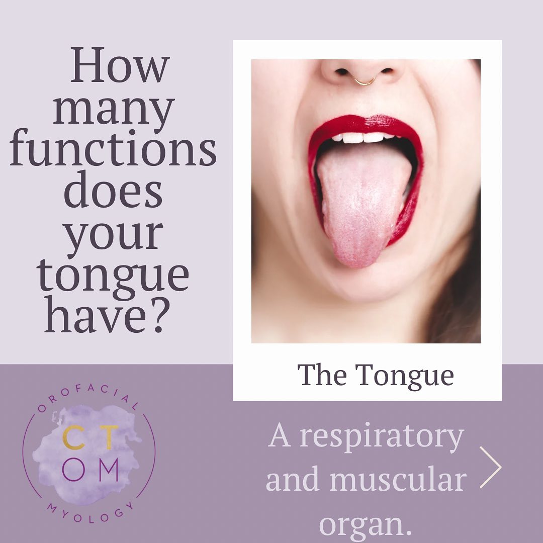 The tongue is a muscular and... - CT Orofacial Myology LLC