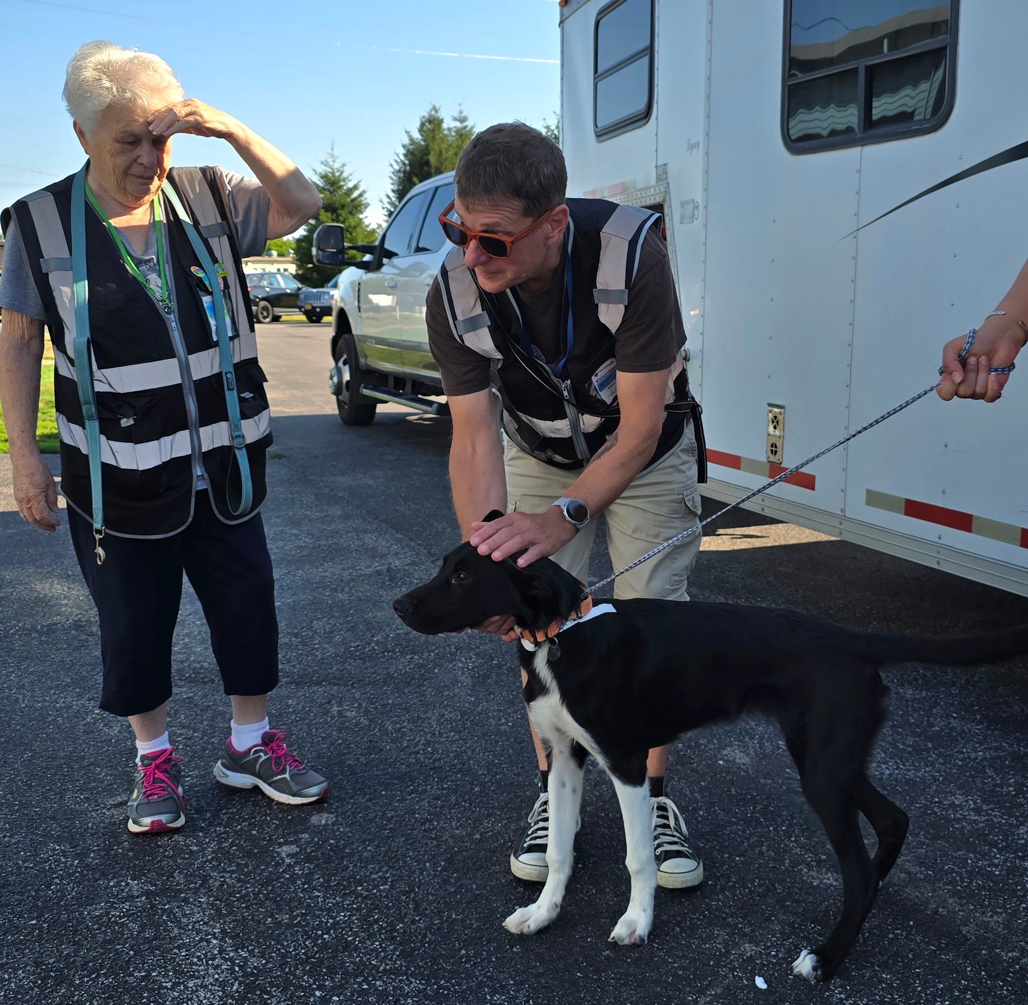 Helping Hounds Dog Rescue... - Helping Hounds Dog Rescue