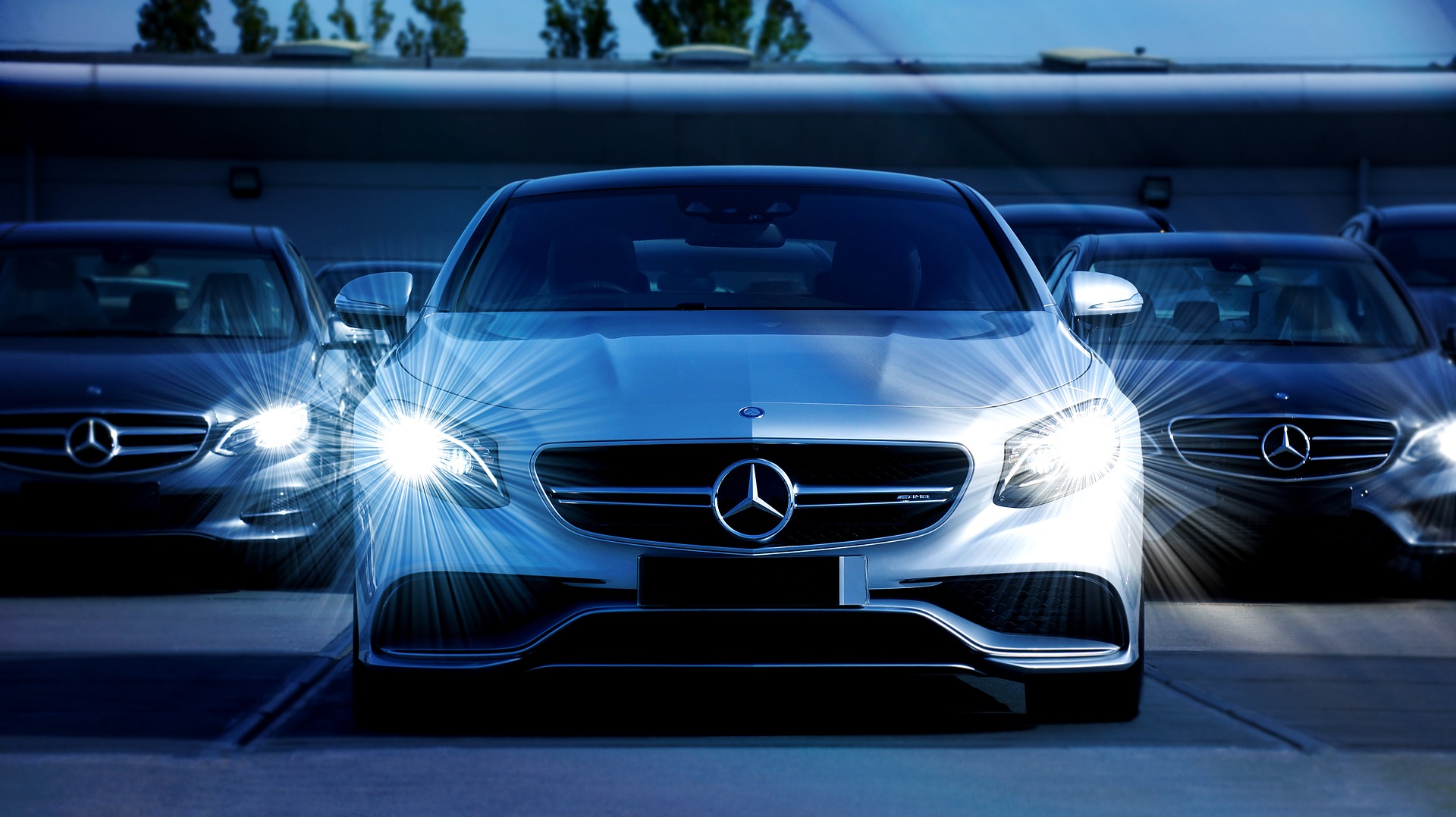 Mercedes Falter Grnstadt