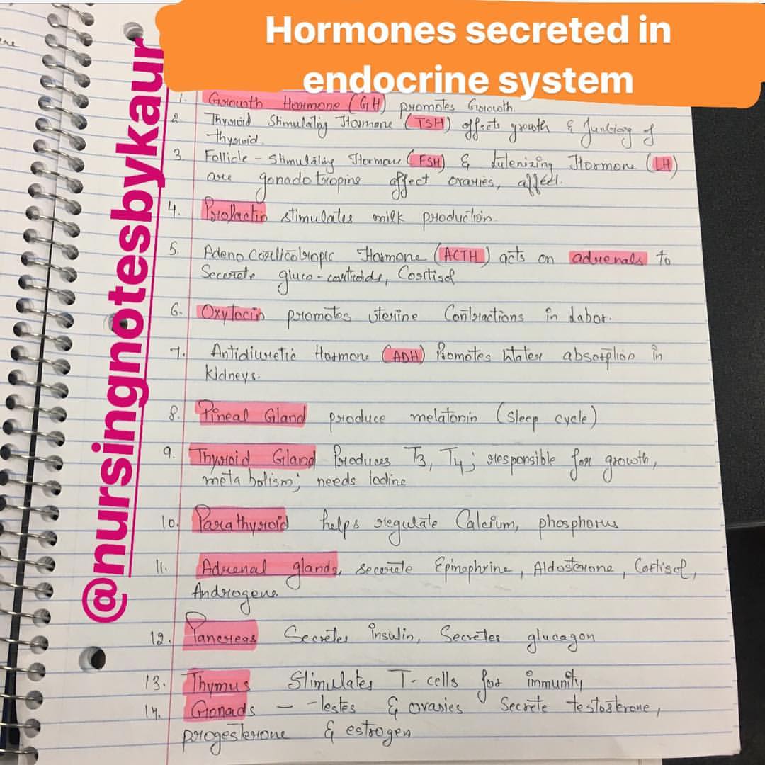 Nursingnotesbykaur - The endocrine system . # ...