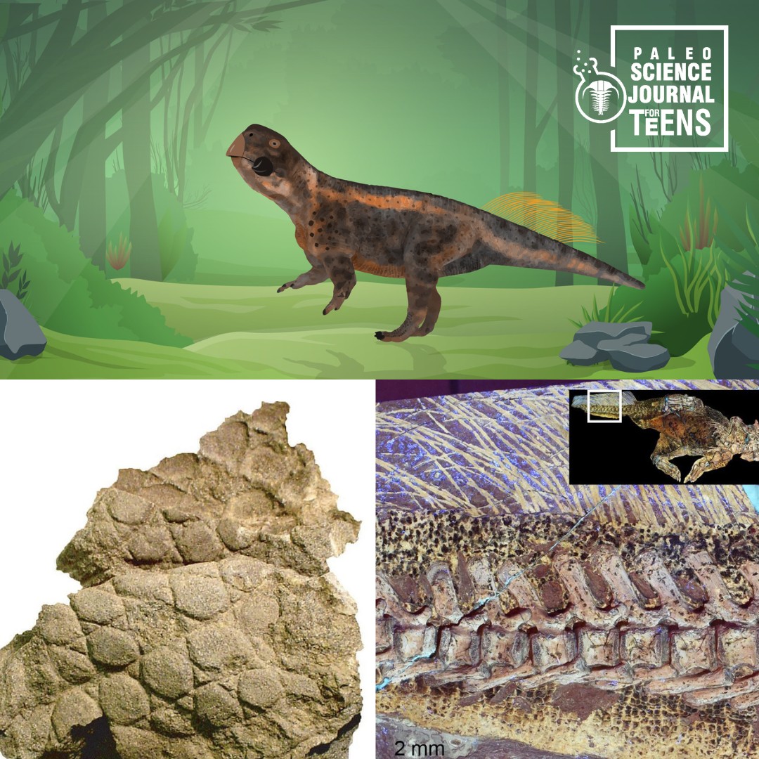 🦖 If you were able to touch a... - Science Journal for Kids