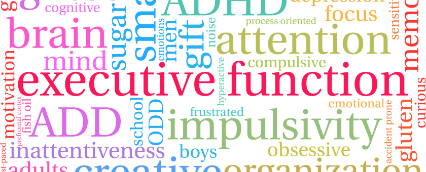 Executive Functioning Toolbox Home 0646