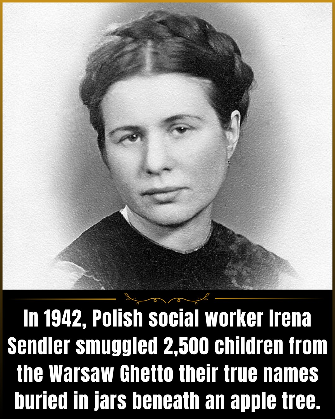 The Wise - In Nazi-occupied Warsaw, even mercy had to hide. Irena ...