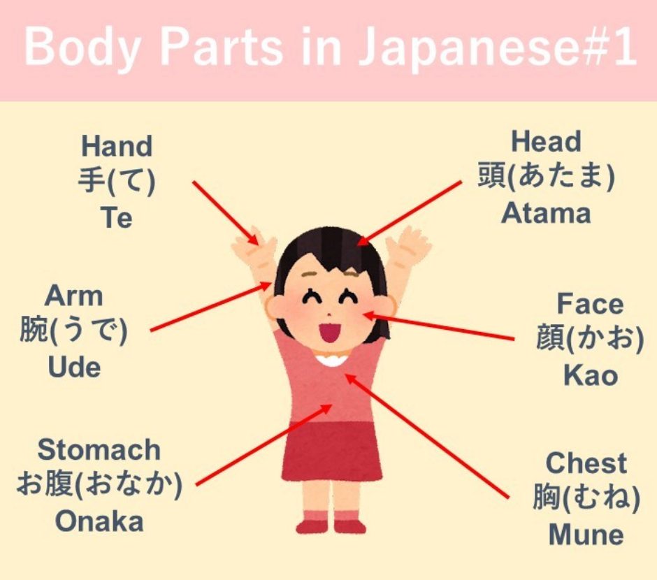 Japanese learning group (N5, N4, N3, N2) | *Let's learn some vocabulary ...