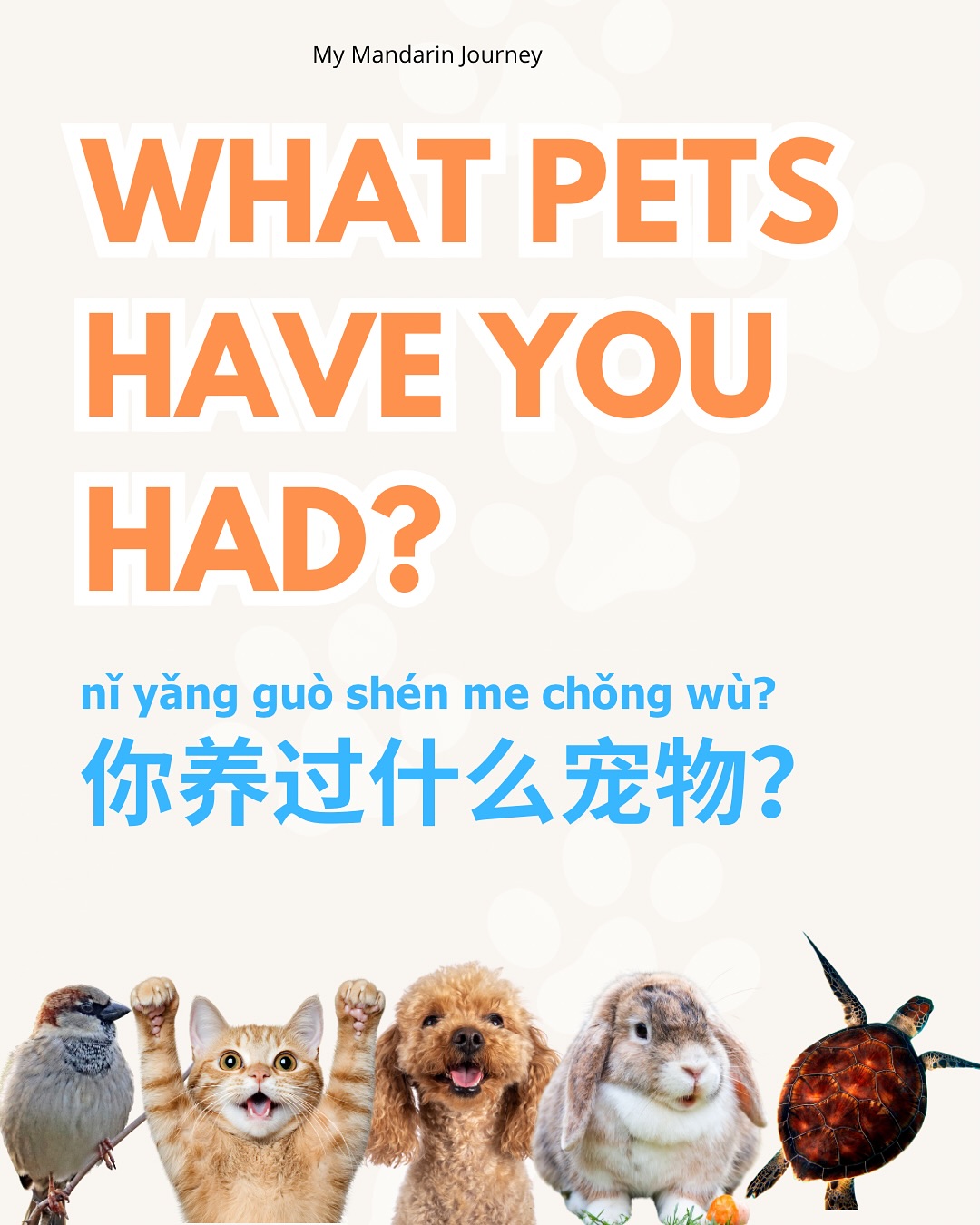 My Mandarin Journey