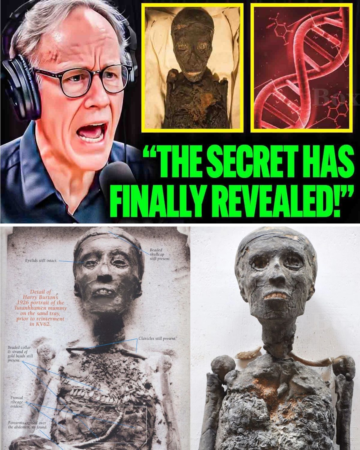 Golden - BREAKING: New DNA Bombshell Exposes King Tut’s Darkest Family ...