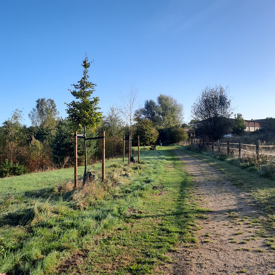 Neues Aus Hasloh