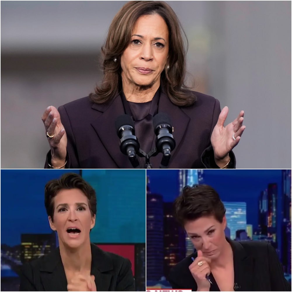 Love Msnbc Host Die Inside After Kamalas Drunken Looking Meltdown