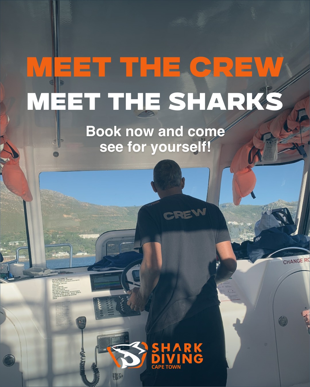 Shark - Meet the Crew, Meet the Sharks Our passionate team, including ...