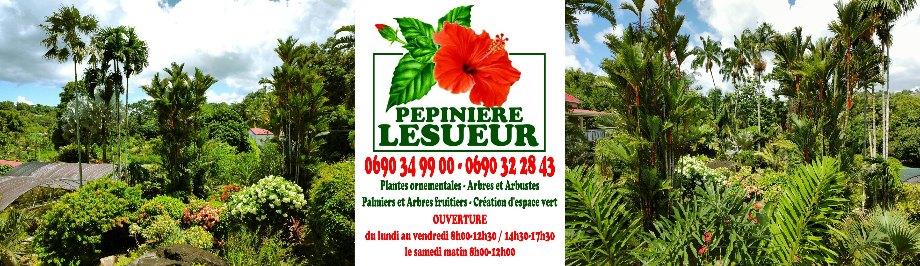 Pépinières Rodriguez Added A New Photo Pépinières Rodriguez