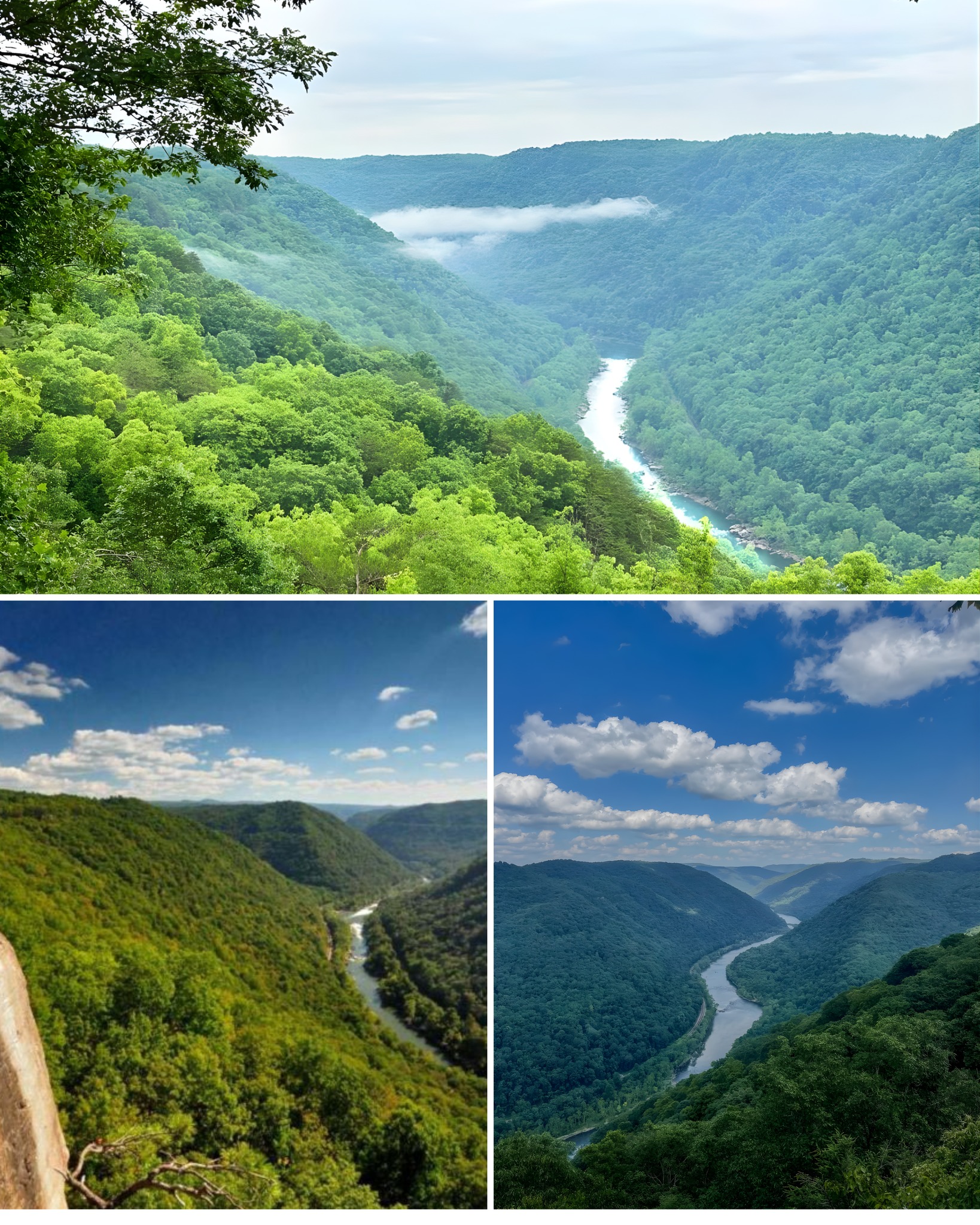 Viral - New River Gorge National Park in West Virginia, USA, showcases ...