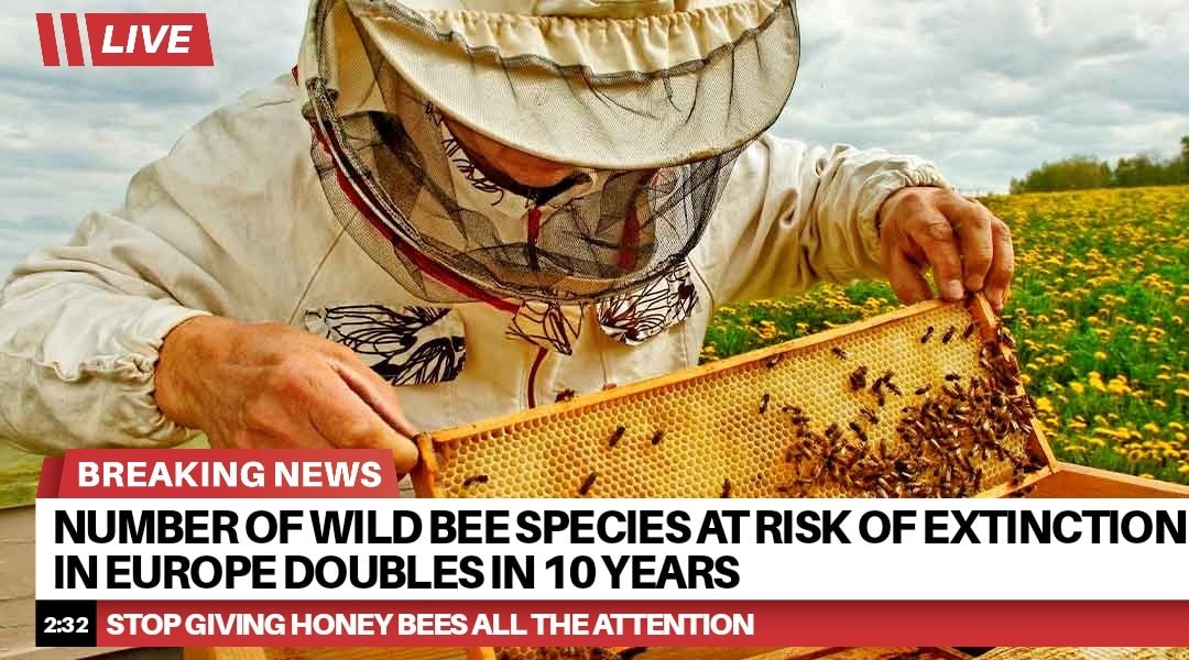 Get - We have to stop giving honey bees all the attention, as they are ...