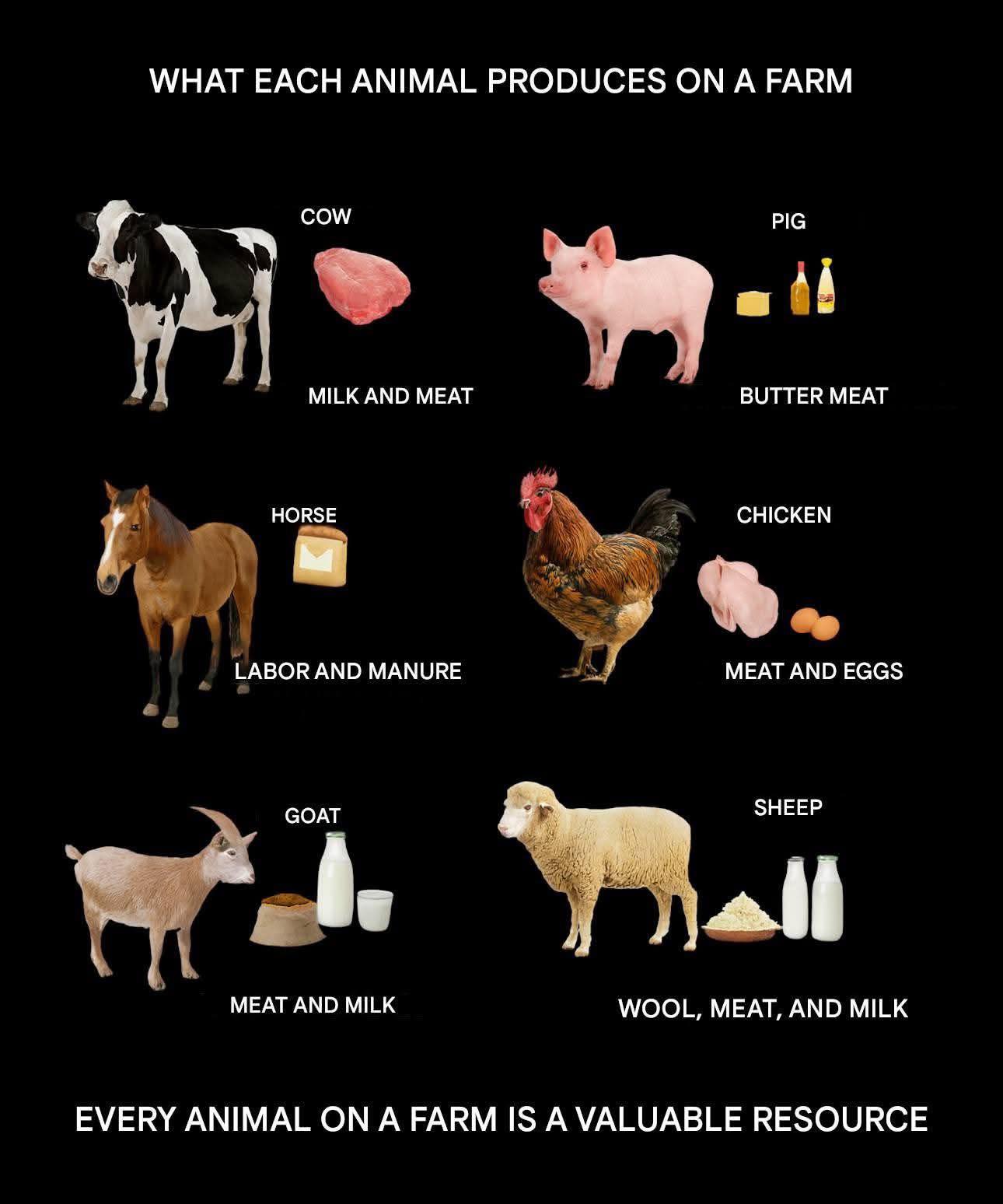 Eastern - 🐓 WHAT EACH FARM ANIMAL GIVES US 🐏🐎🐐 On a farm, every animal ...