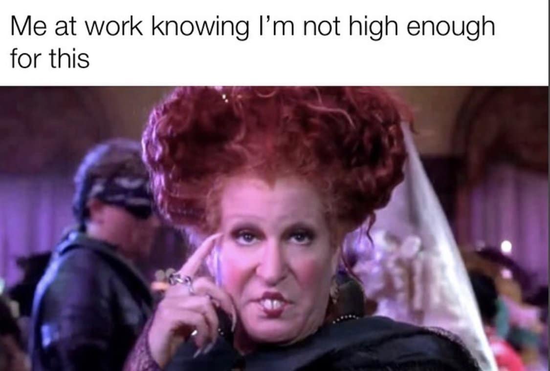 Herb The Limit Does Not Exist 💨 Via High Herstory Facebook 8376